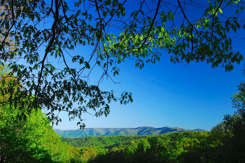 wvstateparks.com - Watoga State Park Electric Campsites - Supplier Details